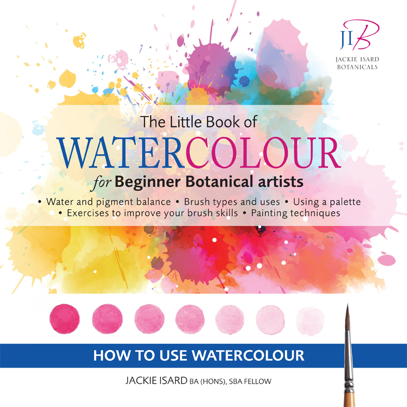 Blog 26: NEW Beginners Watercolour mini-book | jibotanicals